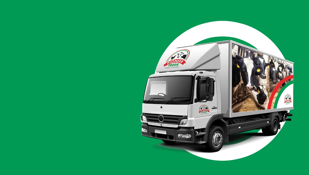 PROMOTIONAL MATERIAL – The Tool Box